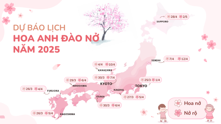 Cập nhật dự báo hoa anh đào năm 2025 tại Hachi Hachi Blog